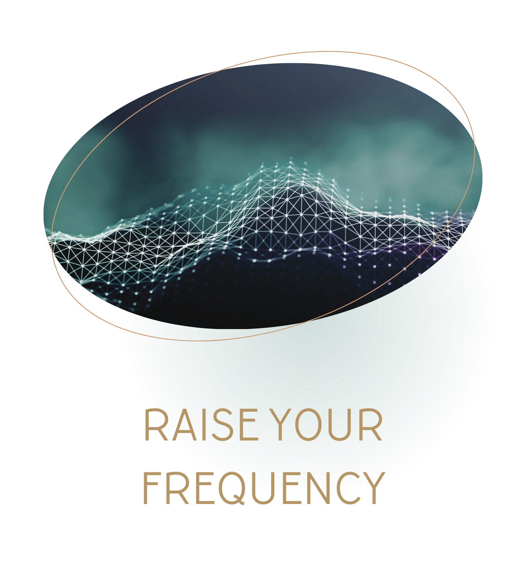 Activation Sanctuary – Mei-lan